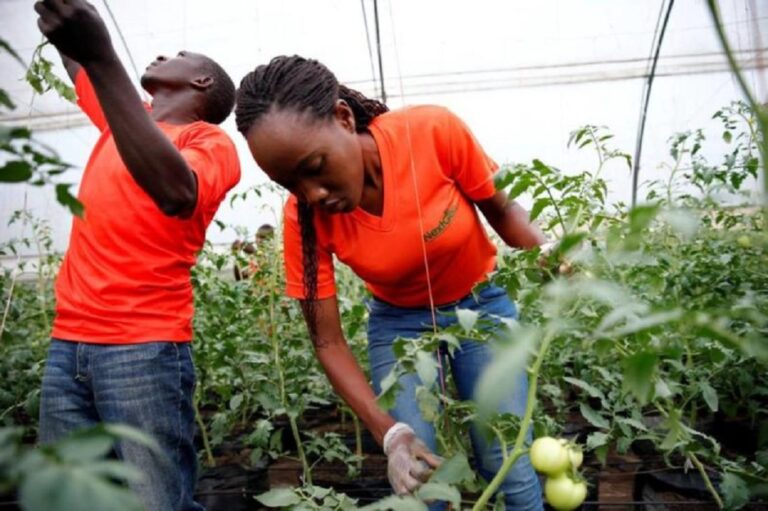 About Us – Collective Action for Sustainable Development (CASD)